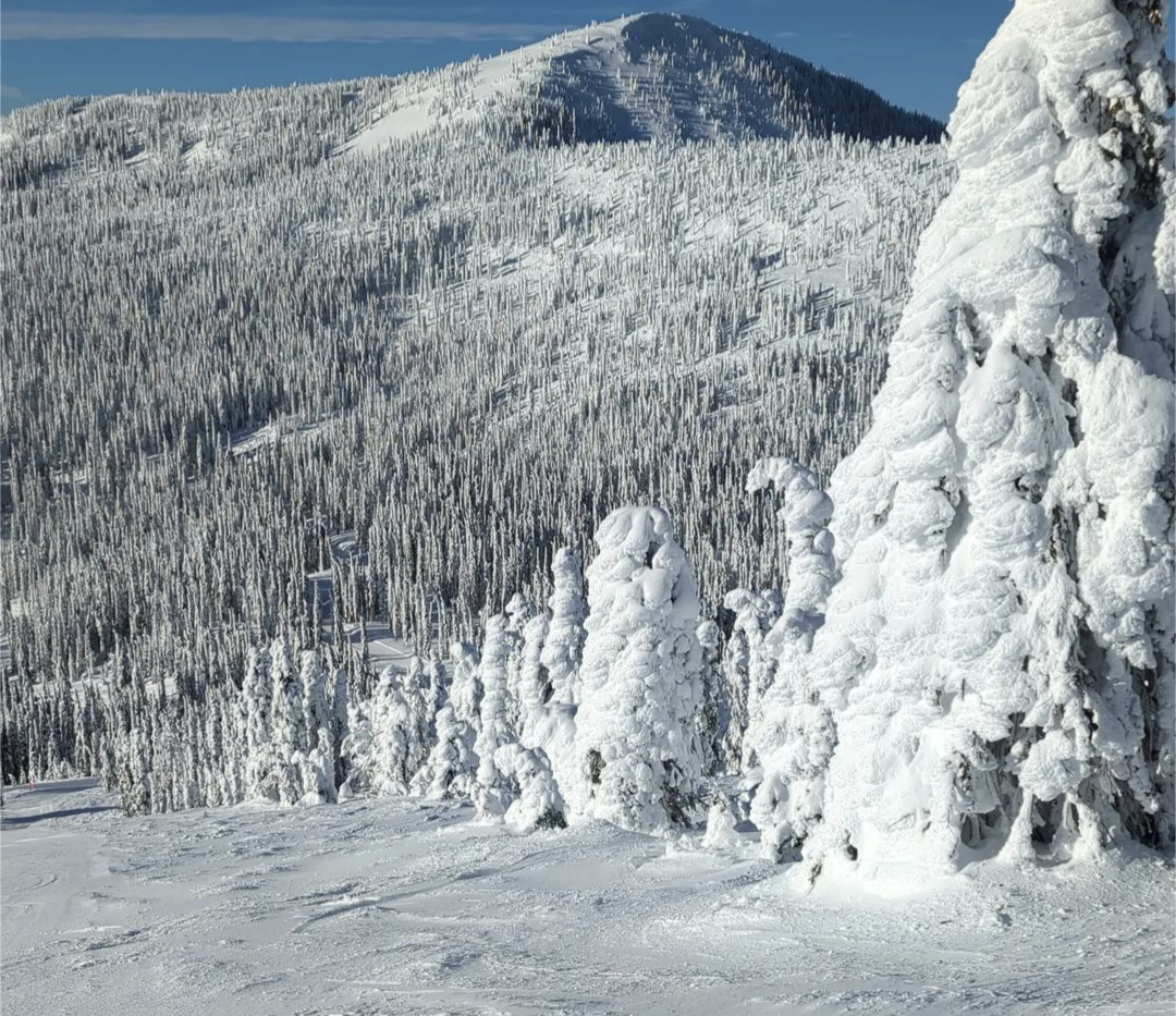 RED Mountain Notes – David Silver